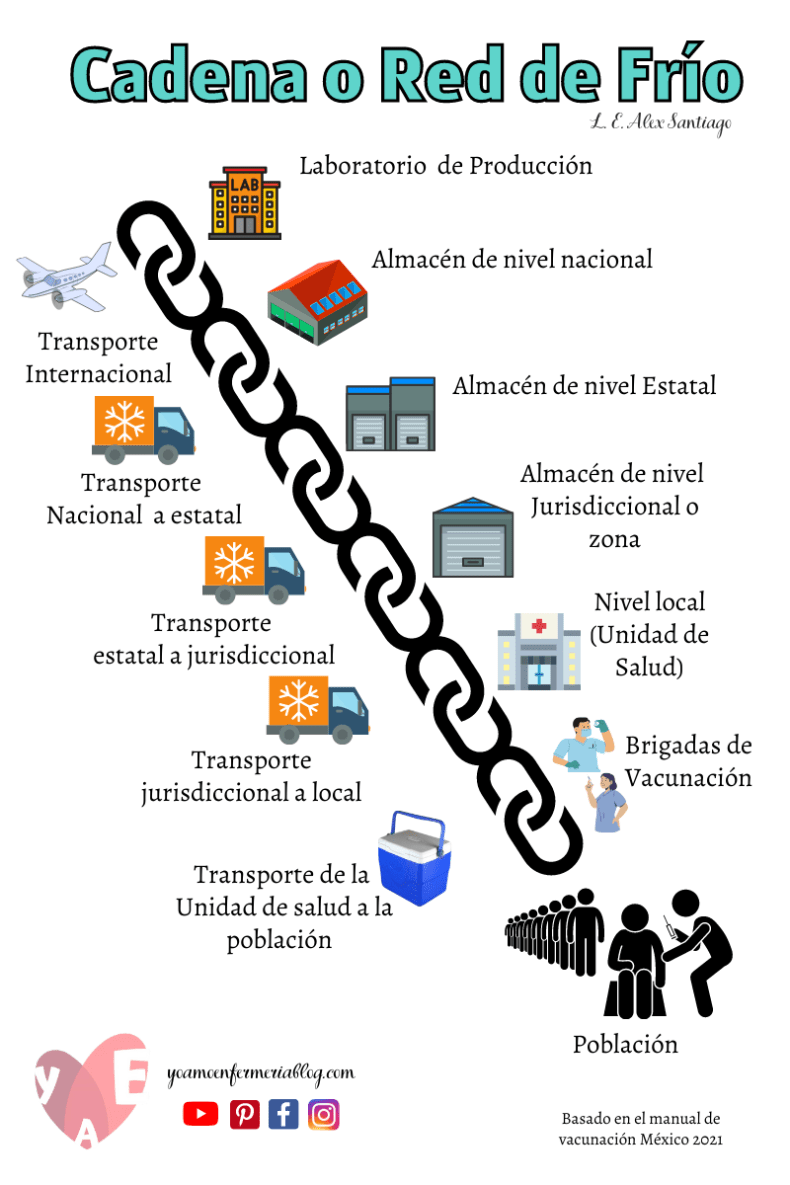 Cadena O Red De Frío