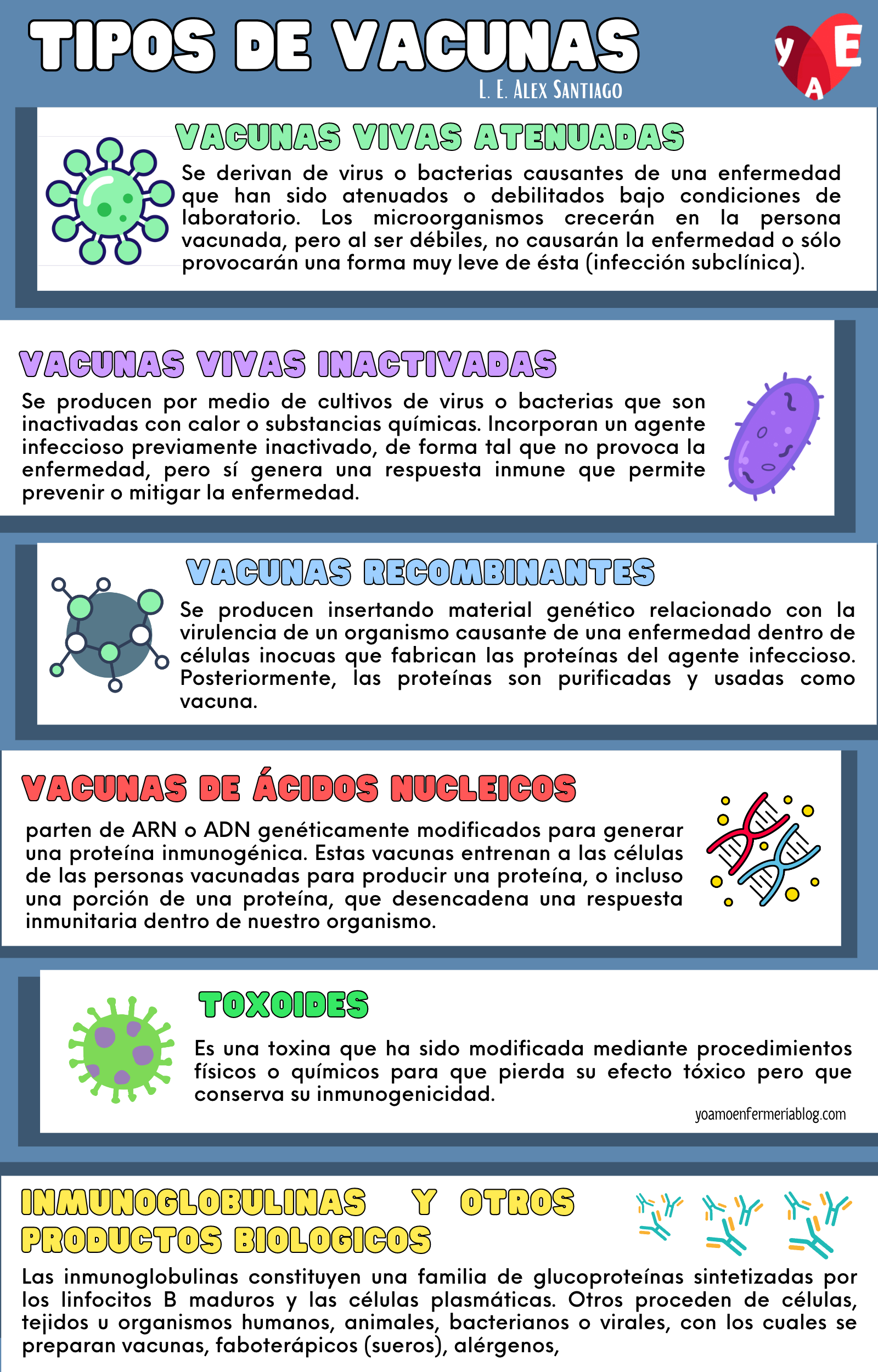 Tipos De Biologicos Infografía ''El Ritmo De Los Hongos''